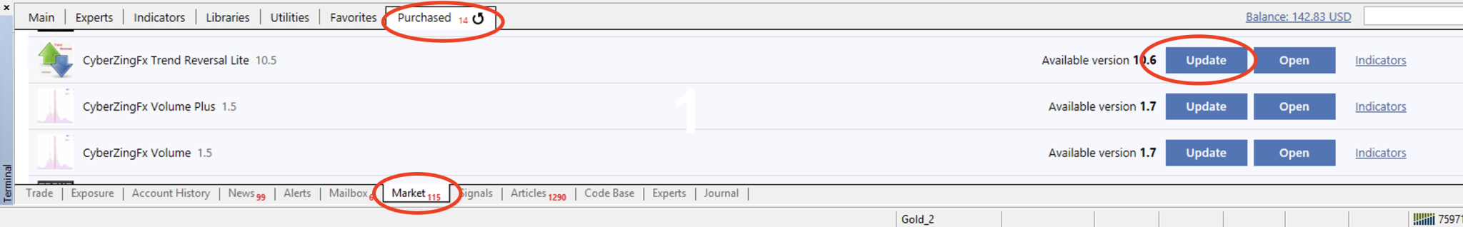 Guide To Updating Purchased Eas And Indicators In Metatrader Platform